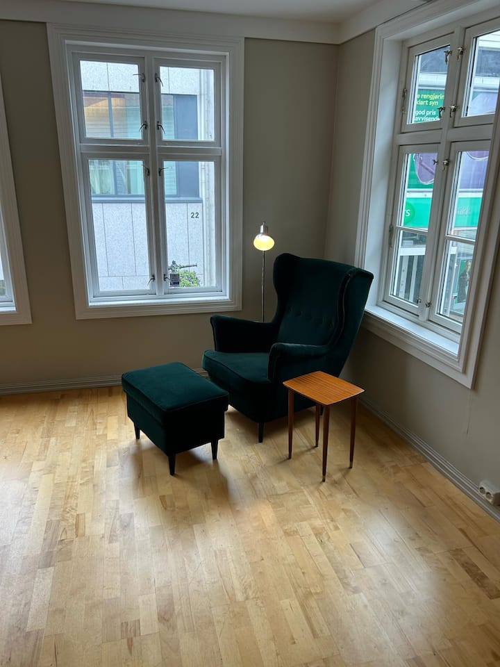 A Cosy Flat In Stavanger - Stavanger