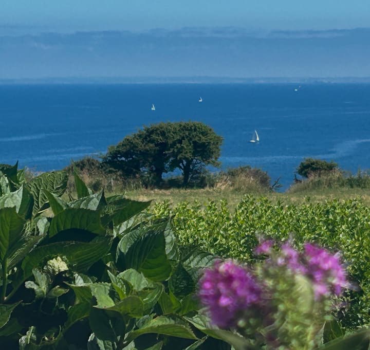 Villa Sur Mer à Deux Pas De La Pointe De Van - Île de Sein