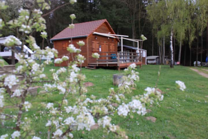 Chalet 5 Personnes. - Fischbach bei Dahn
