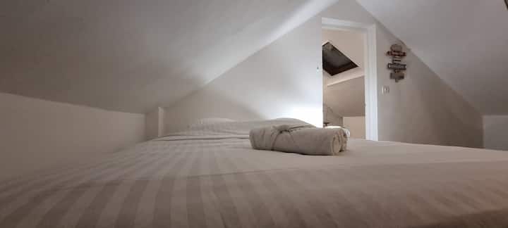 T3 Centre Rénové 50 M² Confort ! - Charleville-Mézières