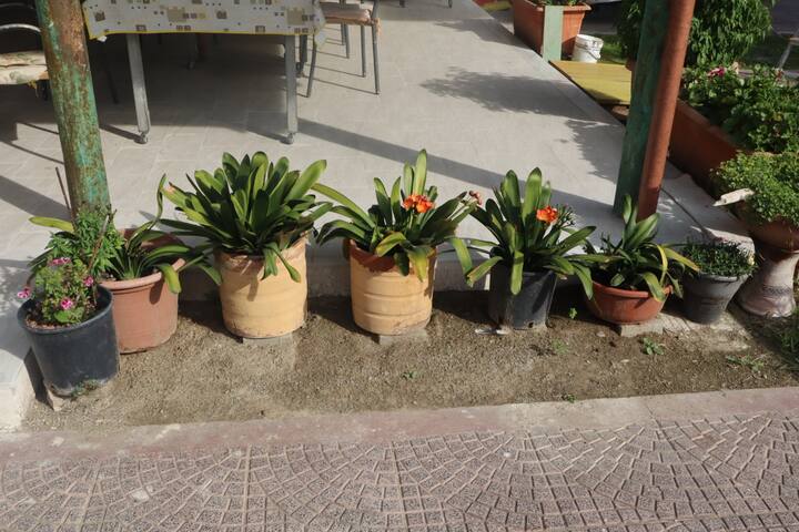 Casa Lory - Marina di Massa