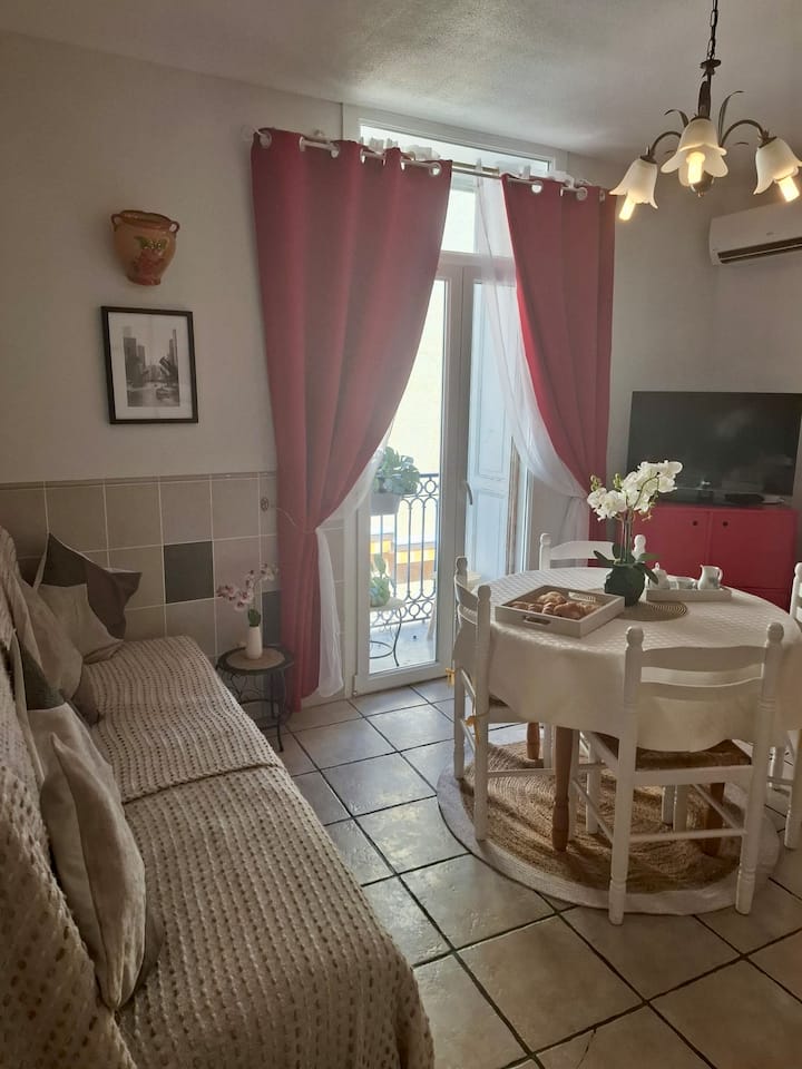 Appartement T1 - Amélie-les-Bains-Palalda