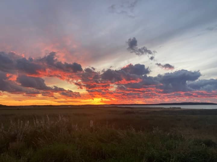 The White Lodge - Onsala