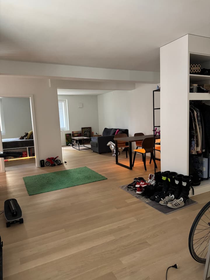 Kleines Loft Mit Sep Schlafzimmer 300m Bahnhof - Winterthour