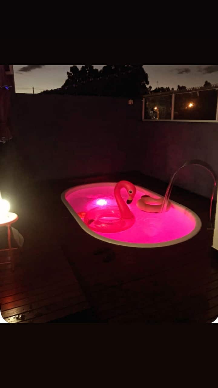 Dreams House - Araucária