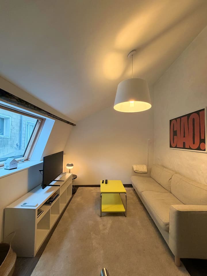 Triplex 2 Chambres Au Cœur Historique De Liège - Seraing