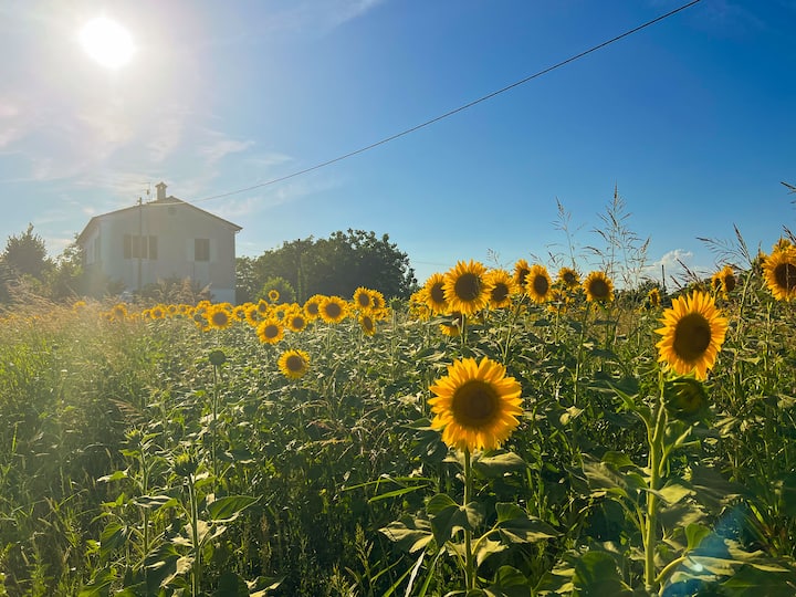 B&b In Campagna Vicino Al Mare - Cesena