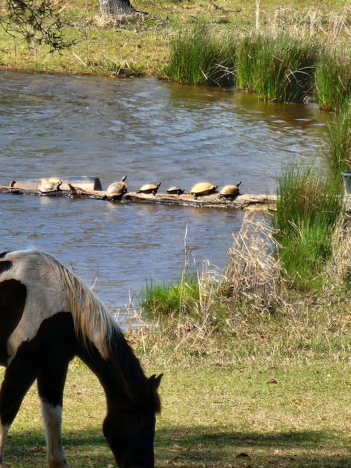 Lakeside Living 4 U! - Griffin, GA