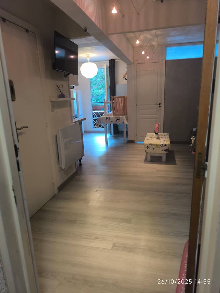 Appartement Centre Station 6/8p - Allos
