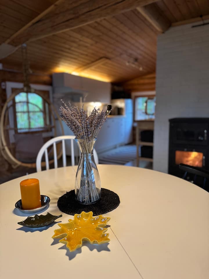 Viihtyisä Hirsimökki Venturissa - Joensuu