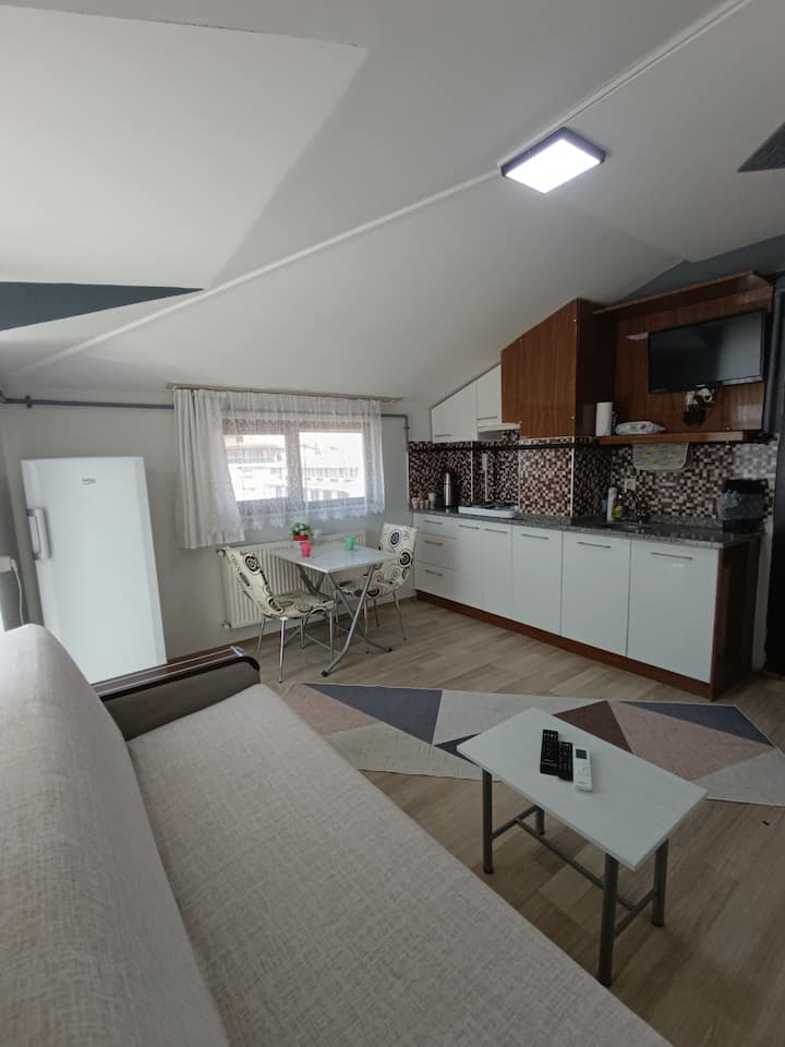 Teraslı 1+1 Daire - Denizli