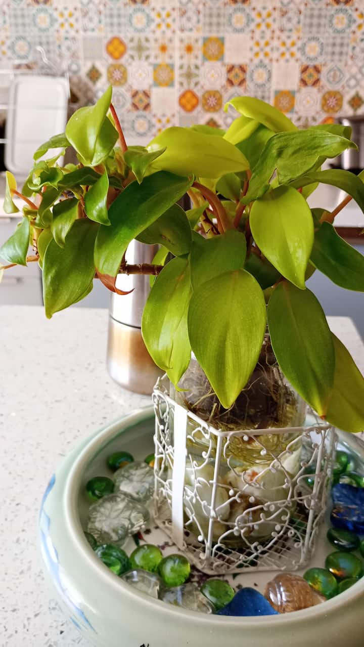 San Miguel - Guatapé