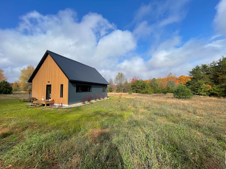 Ultimate Ski And Snowmobile Cabin Near Crystal Mtn - Bear Lake, MI