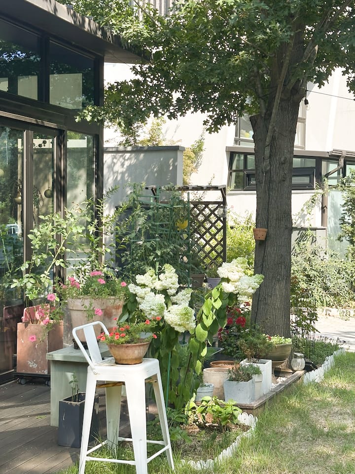 팔꽁이스테이 - Daegu