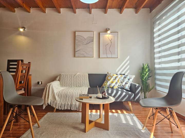 Dúplex Con Terraza Privada En Barrio Italia - Providencia