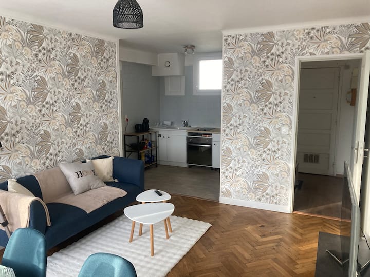 Appartement Belle-isle - Châteauroux