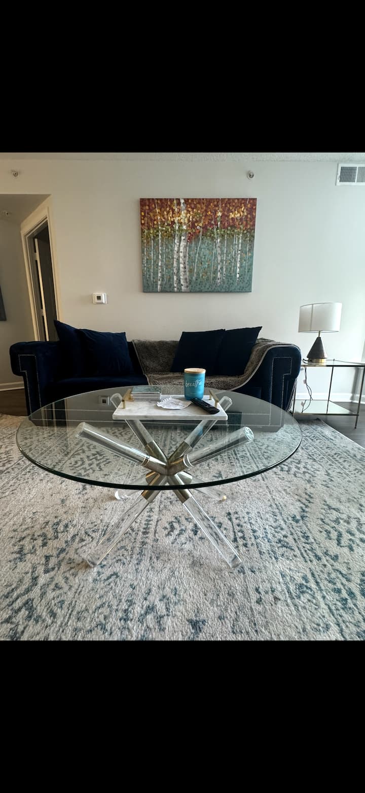 Beautiful 2 Br, Metro, Pool, Gym - Alexandria, VA