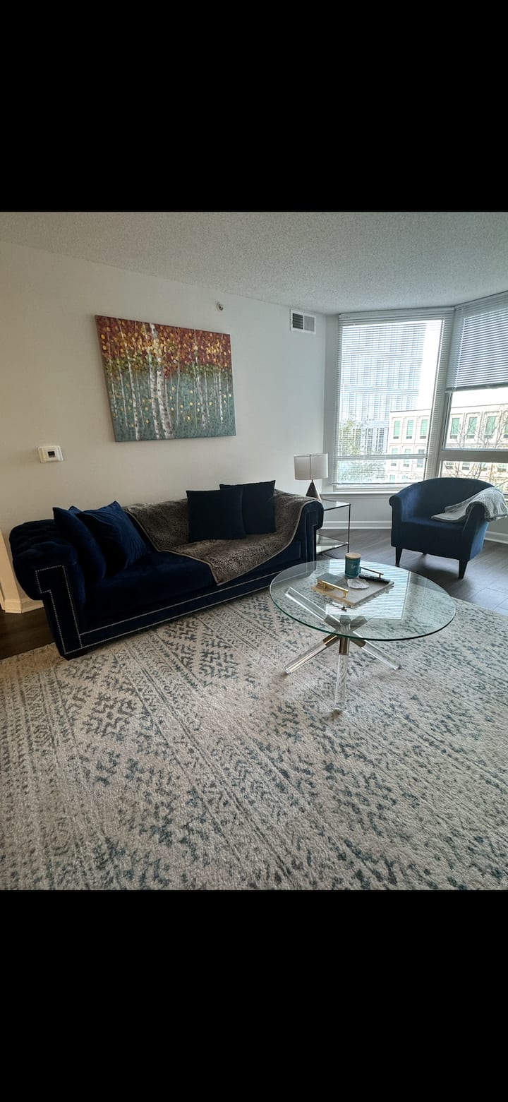 Beautiful 2 Br, Metro, Pool, Gym - Arlington, VA