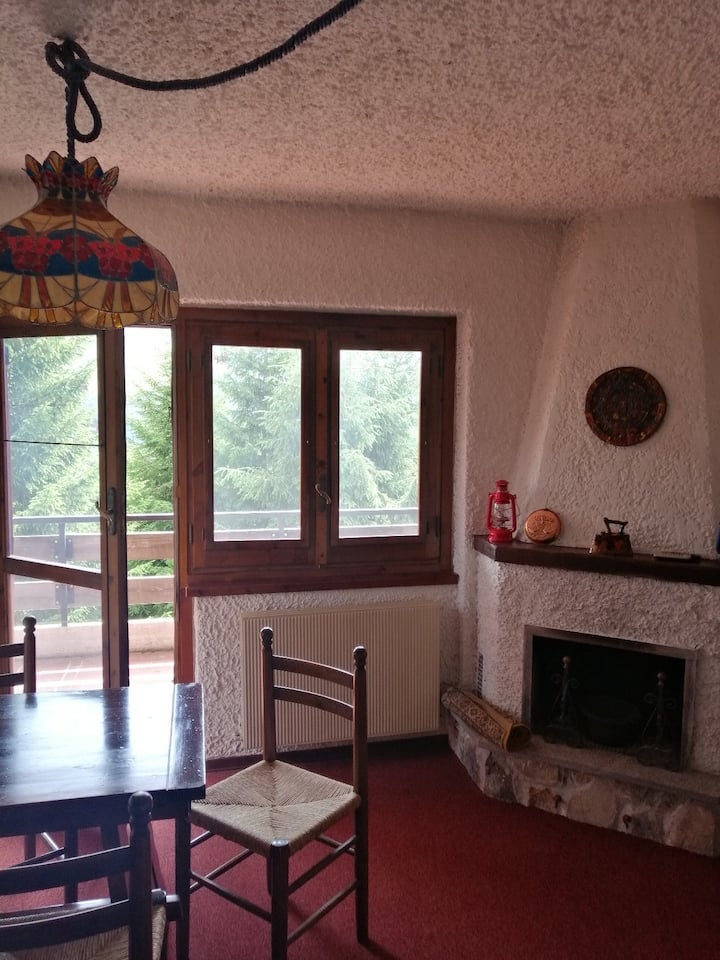 Appartamento Marguareis - Artesina
