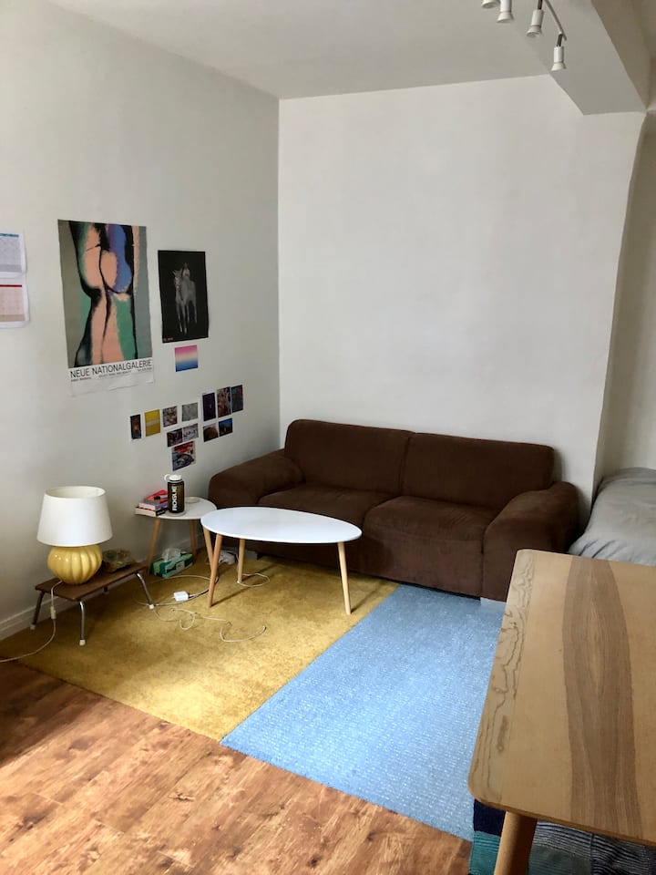 Appartement - Dijon Centre - Musée des Beaux-Arts de Dijon