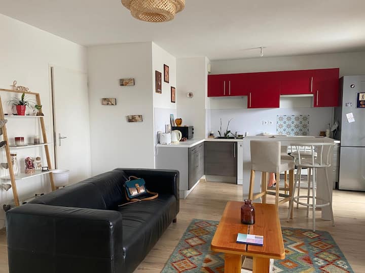 Chambre Dans Un Chouette Appart - Caen