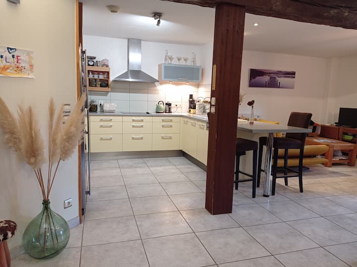 Appartement Calme Idéal Pour Un Séjour En Famille - 阿訥西