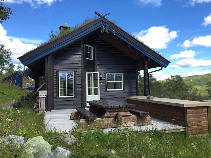 Einsetlie I Raggsteindalen - Norway