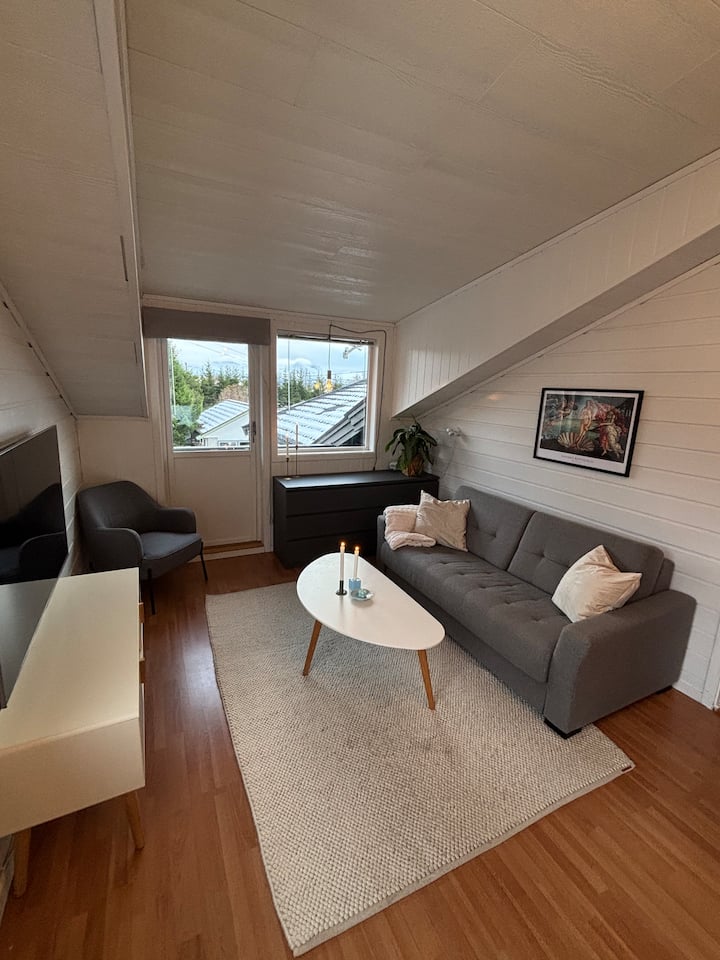 Hyggelig Hjem I Tromsø - Tromsø