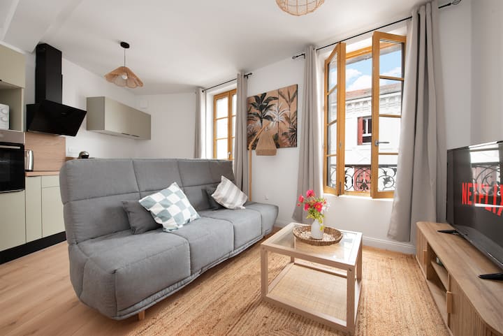 Le Phoenix - T3 Centre Ville Clim - Albí