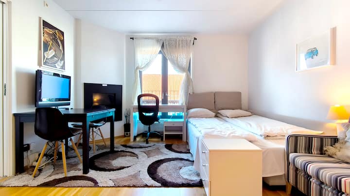 Central Apartment - Oslo