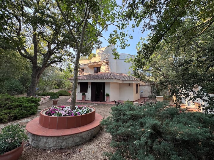 L'antica Quercia - Alberobello