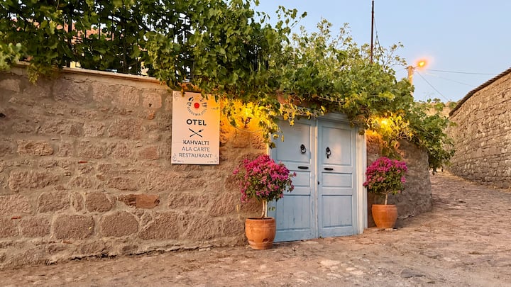 Assos Mia - Asso