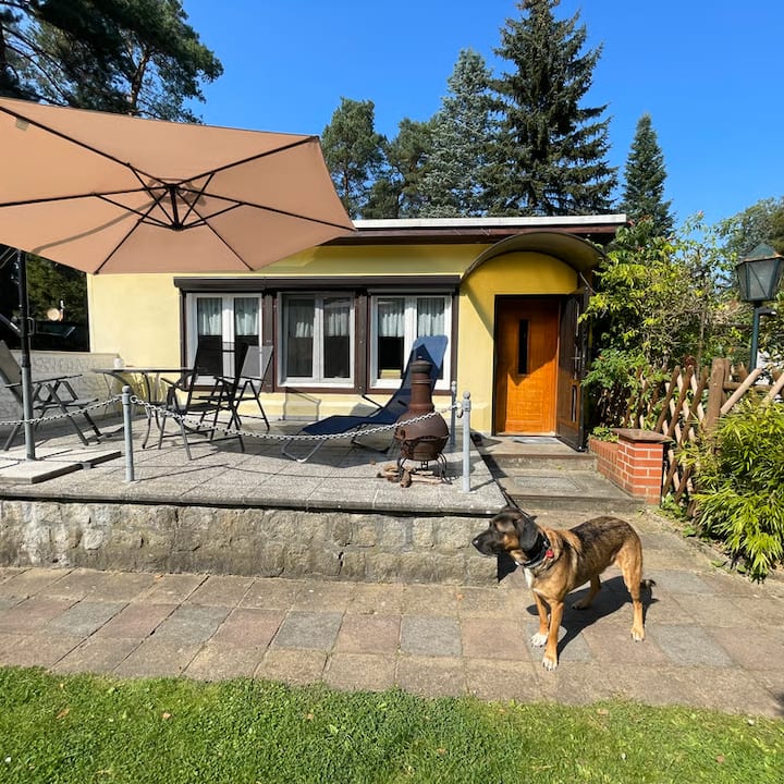 Urlaub Mit Hund In Brandenburg - Eisenhüttenstadt