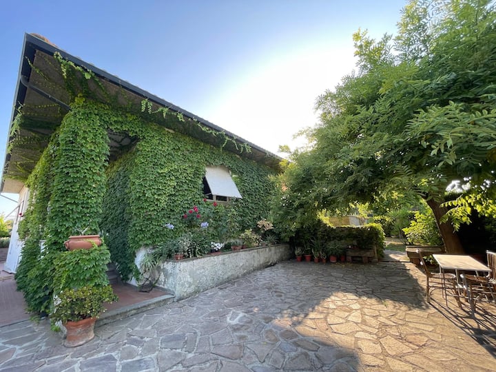 Villa Edera - Campiglia Marittima