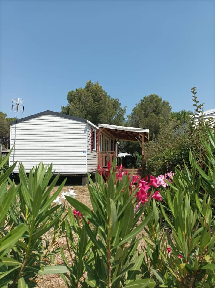 Mobil-home Maximum 8 Personnes Dans Camping 4*. - Villeneuve-lès-Maguelone