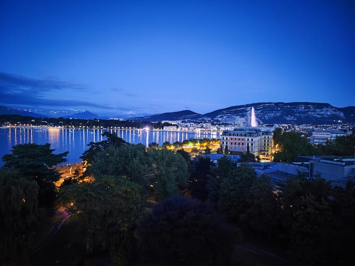 2-room Stunning View Over Lake Geneva & Mont-blanc - Ferney-Voltaire