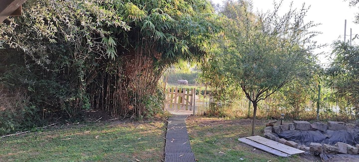 Le Gite Dans L’eau - Saint-Omer