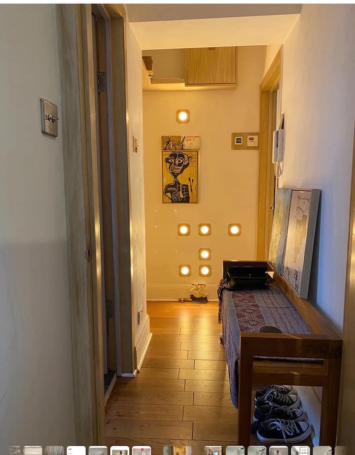 550sf Zone One Apartment - London