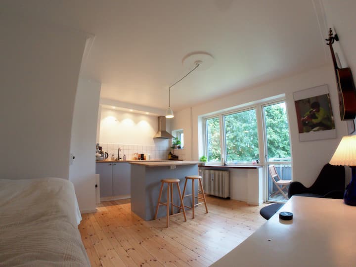Tiny 1br Near Amager Beach - Copenhagen
