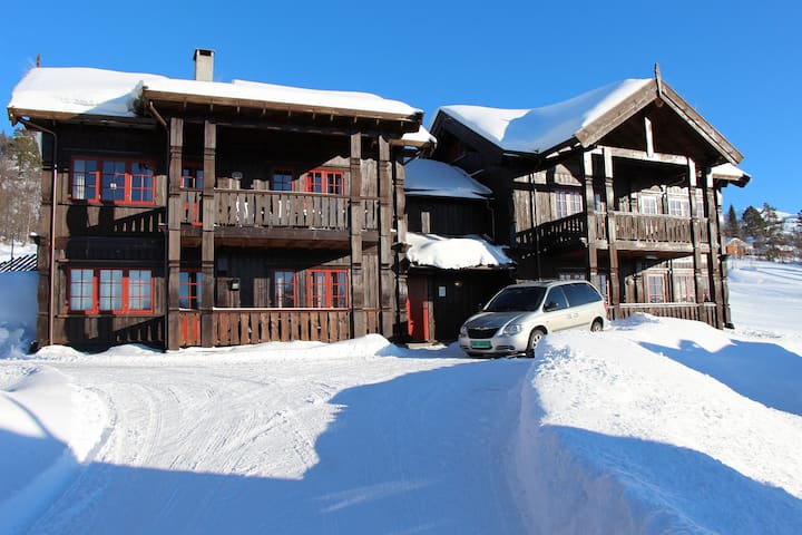 Rauland Skisenter. 
Noe Ledig I Januar - Norvège
