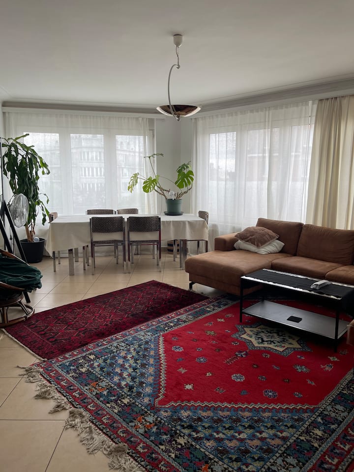 Luminous 1 Bedroom Apartment - Koekelberg