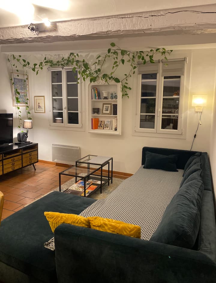 Rendez-vous Avec Cézanne :*Centre Historique* - Aix-en-Provence