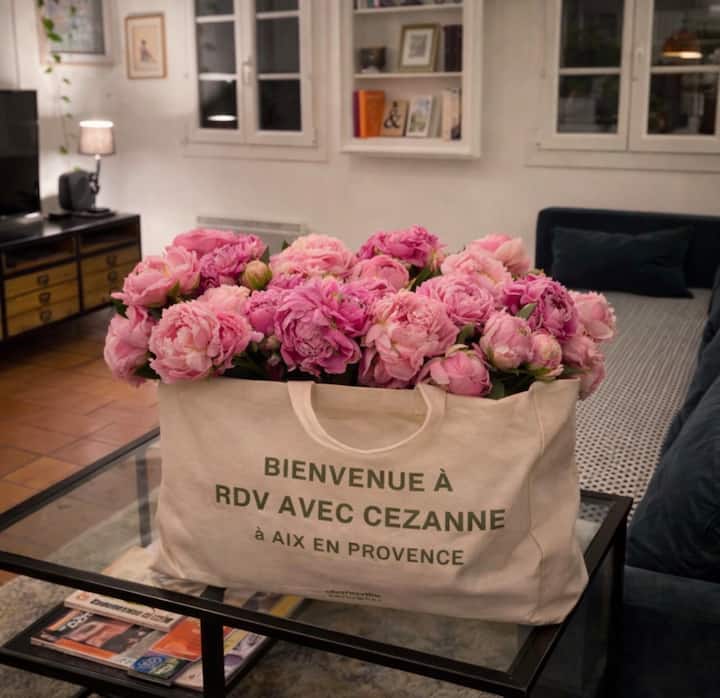 Rendez-vous Avec Cézanne :*Centre Historique* - Aix-en-Provence