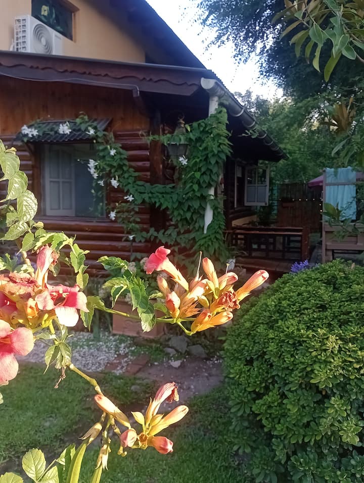 Der Baum - Argentina