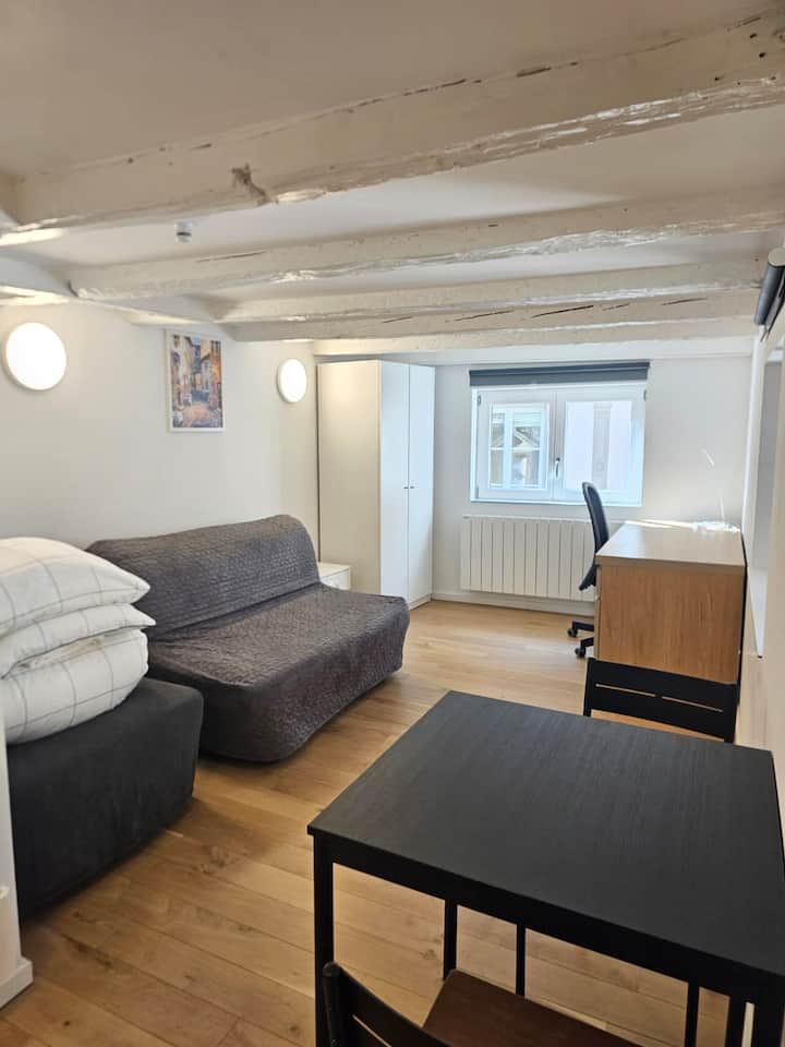 Charmant Studio Au Centre De Strasbourg - Kehl