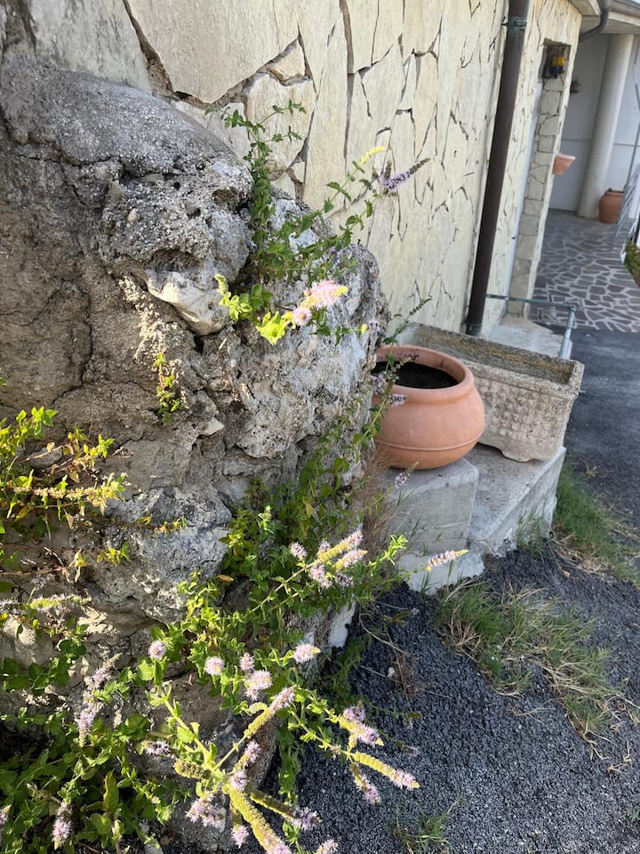 Frank House 2.0 - Isernia