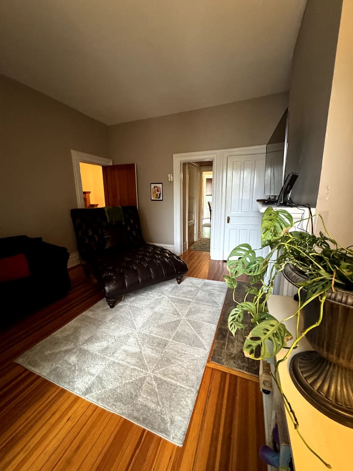 Elegant Brownstone In Stockade Historic District - Schenectady, NY