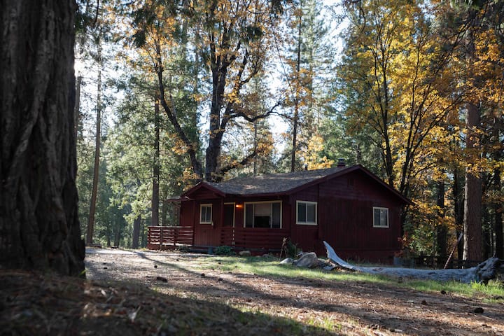 Camp Chilnualna Cabin 6 In Yosemite National Park - Wawona, CA