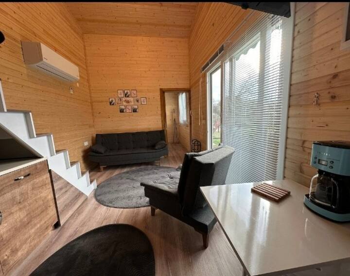 İNcir Ve Gün Batımı - Urla