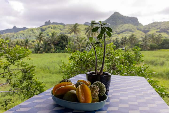 Hidden Haven-
Private Mountain View Nature Retreat - Cook Islands